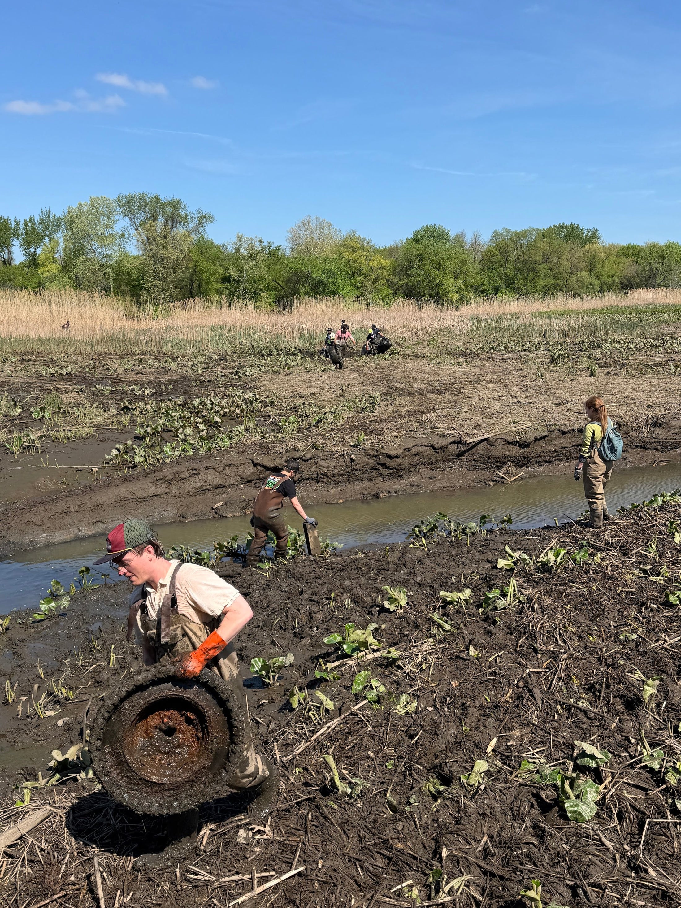 180 Volunteers, 2.75 Tons: A Spring Cleanup at Tinicum Marsh – United ...