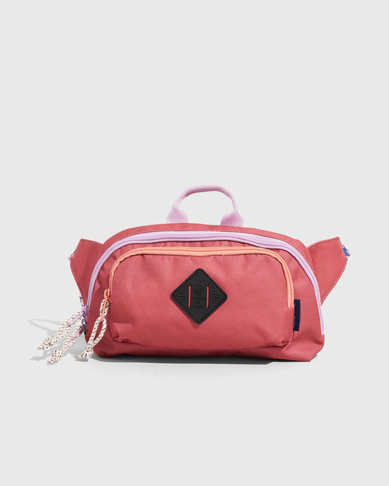 (R)evolution™ 3L Utility Fanny Pack – United By Blue