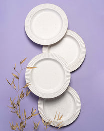 Stoneware Stackable Plate - Set of 4 – United By Blue