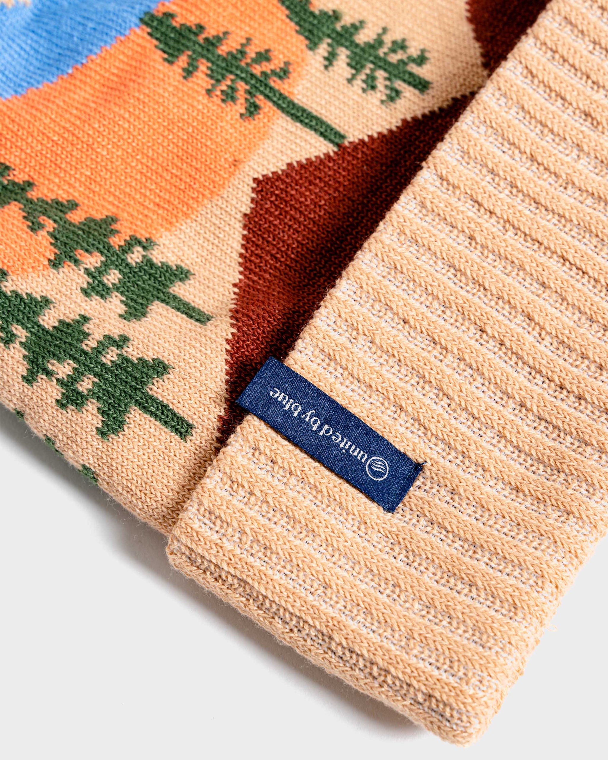 Recycled Bison Band Beanie | United By Blue